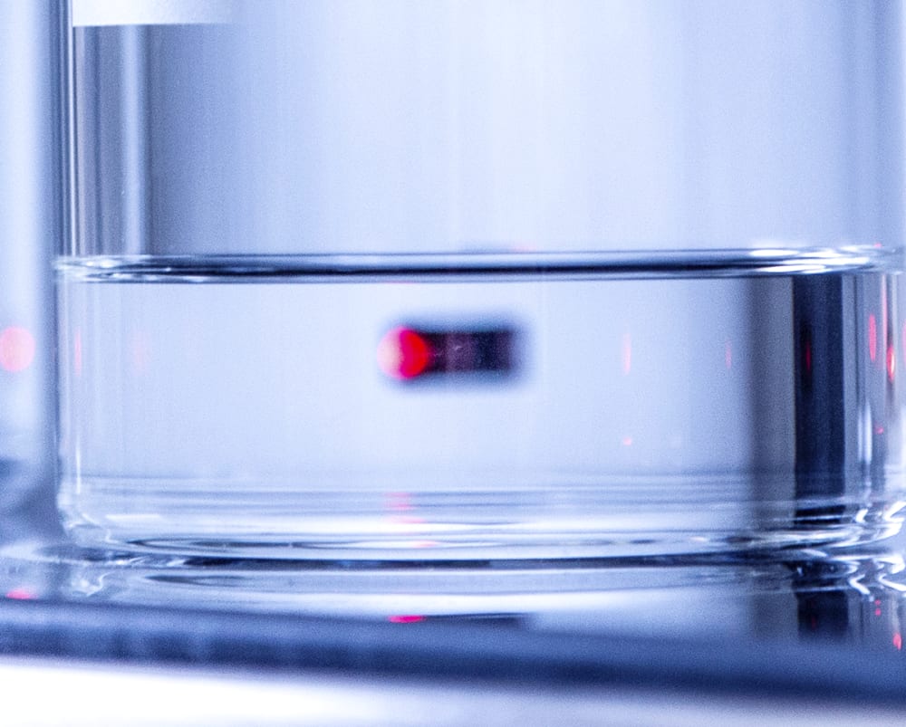 UniversalExtractor E-800 (เครื่องสกัด) | Buchi.com